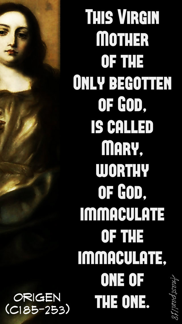 Immaculate Misconception Quotes Lives Of The Apostles Of Jesus Christ