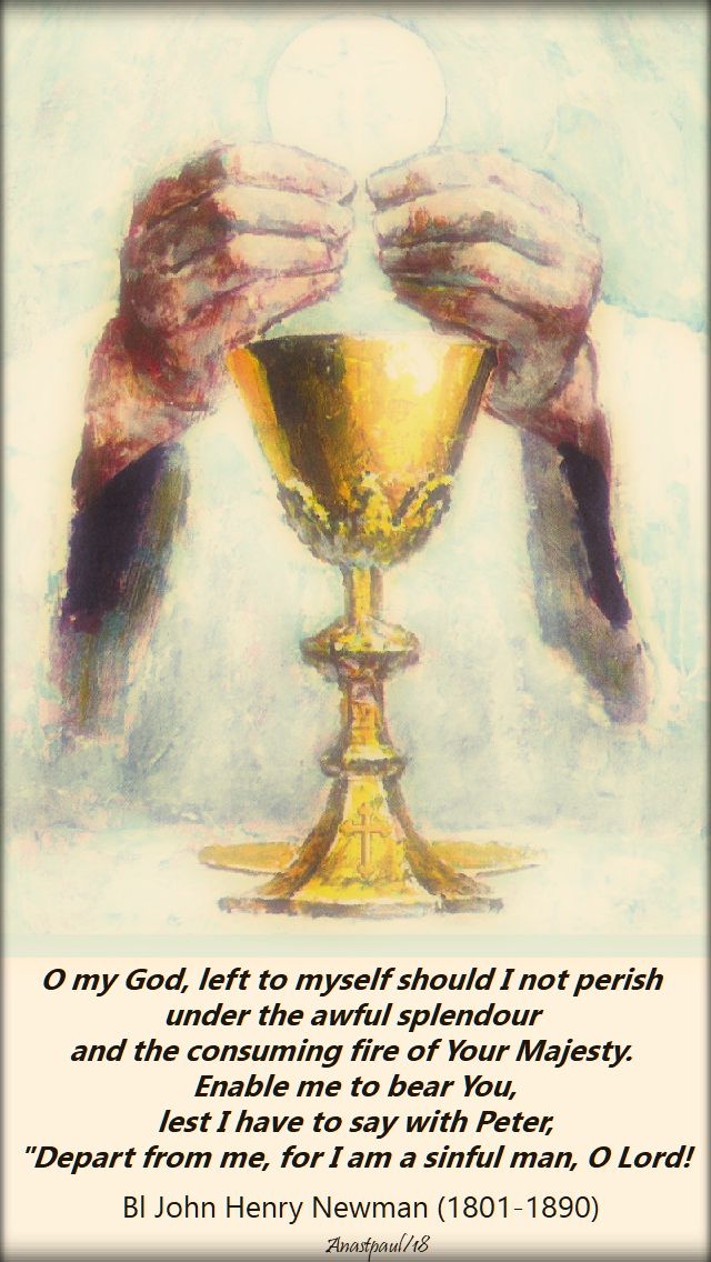 Sunday Reflection – 19 May – ”Lord, I am not worthy” – AnaStpaul