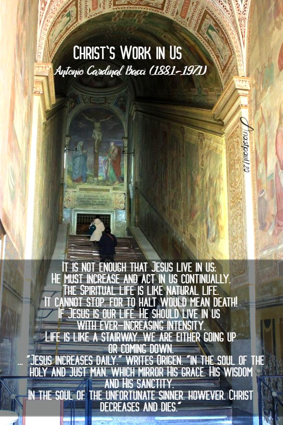 Thought for the Day – 16 September – Christ’s Work in Us – AnaStpaul