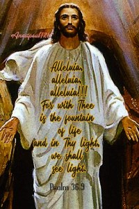 CATHOLIC DEVOTIONS of the Month – AnaStpaul