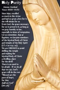 Thought for the Day – 21 May – Holy Purity – AnaStpaul