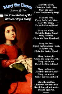 Our Morning Offering – 21 November – The Presentation of the Blessed ...