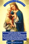 Thought for the Day – 8 December – The IMMACULATE CONCEPTION – AnaStpaul