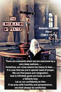 Thought for the Day – 15 March – The Consolation of Prayer – AnaStpaul