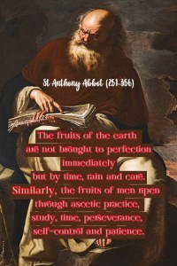 Quote/s of the Day – 14 October – The Faithful on Pilgrimage – AnaStpaul