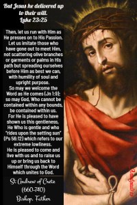 “Follow Me” – AnaStpaul