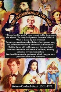 Thought for the Day – 22 November – The Blessedness of the Poor – AnaStpaul