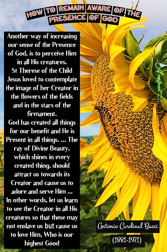 Thought for the Day – 29 November – How to Remain Aware of the Presence ...