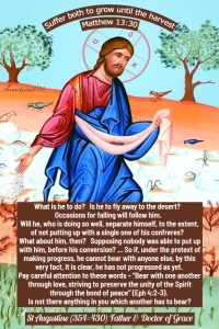 The WORD – AnaStpaul