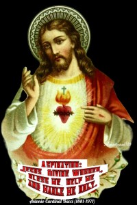 SACRED HEART ASPIRATIONS – AnaStpaul